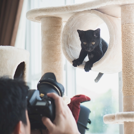 Pet Photography Tips: How to Take Great Photos of Your Pet | Jessops
